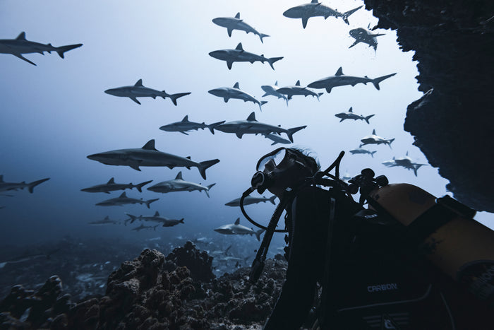 Elemental Reflections: Q&A With Videographer and Waterwoman Rachel Moo ...